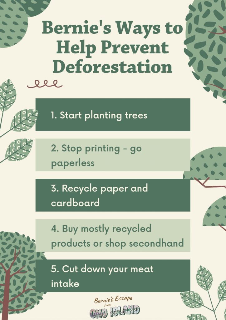 Bernie's Ways to Help Prevent Deforestation - The Bolala Forest Fable ...