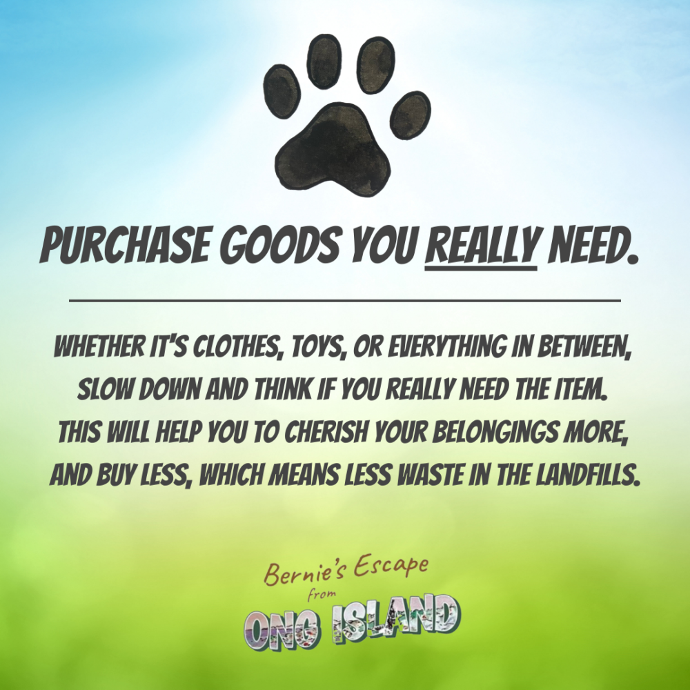 Help Bernie Save the Environment! - Jess Harris Books