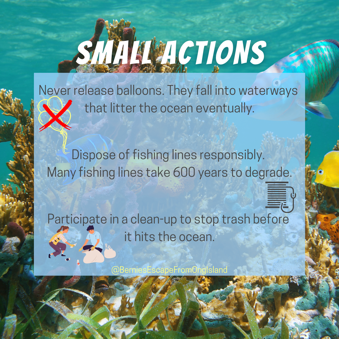 Help Heal the Ocean - Jess Harris Books